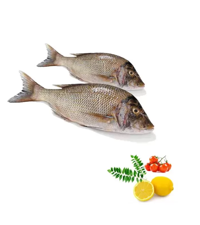 Fish & Seafood – Greencoot