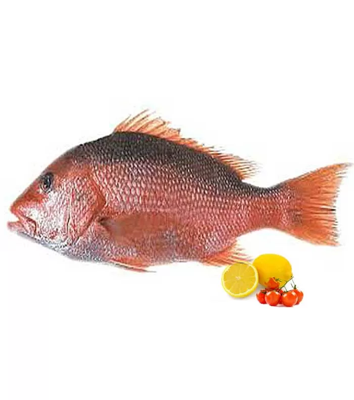 Fish & Seafood – Greencoot